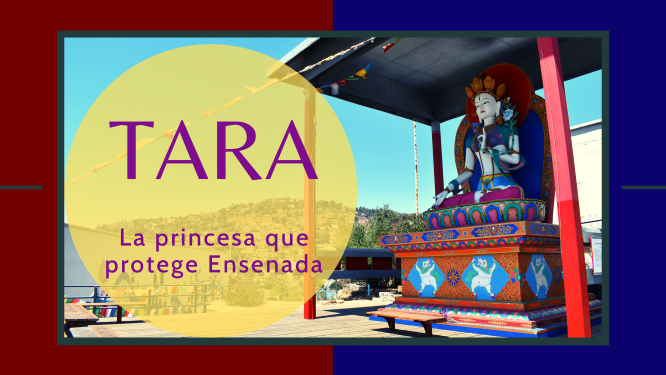 La historia del Keki y la Princesa Tara – RedesCubriendoBC